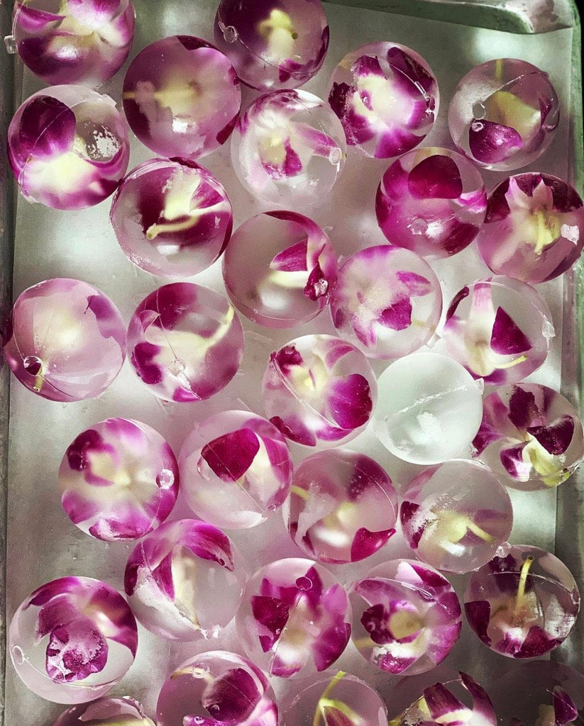 4 Pack Orchid Sphere Ice, N’ice Cubes (More Options) | Collins & Coupe