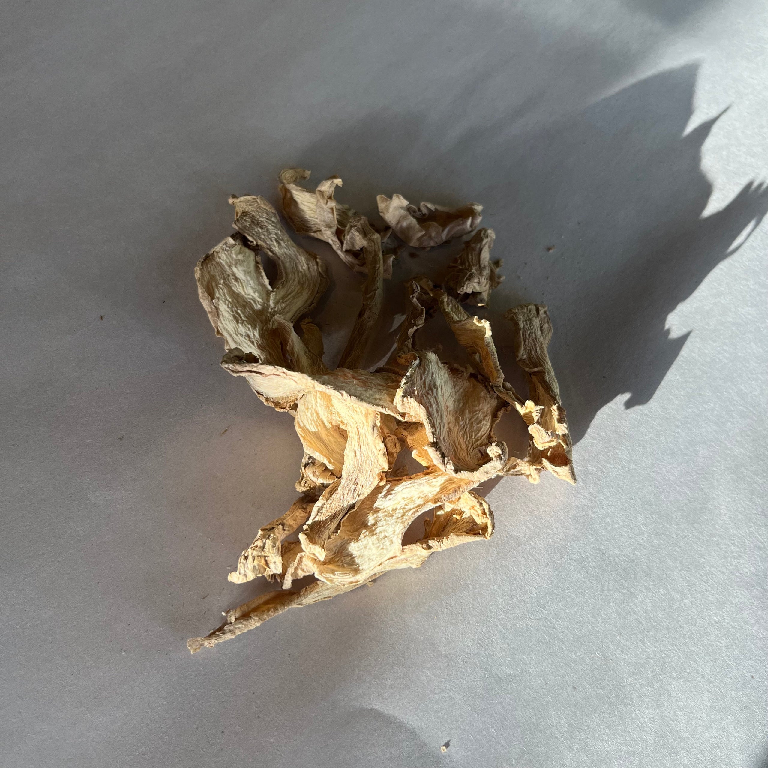 Dried Ginger Slices, 1/4oz | Collins & Coupe